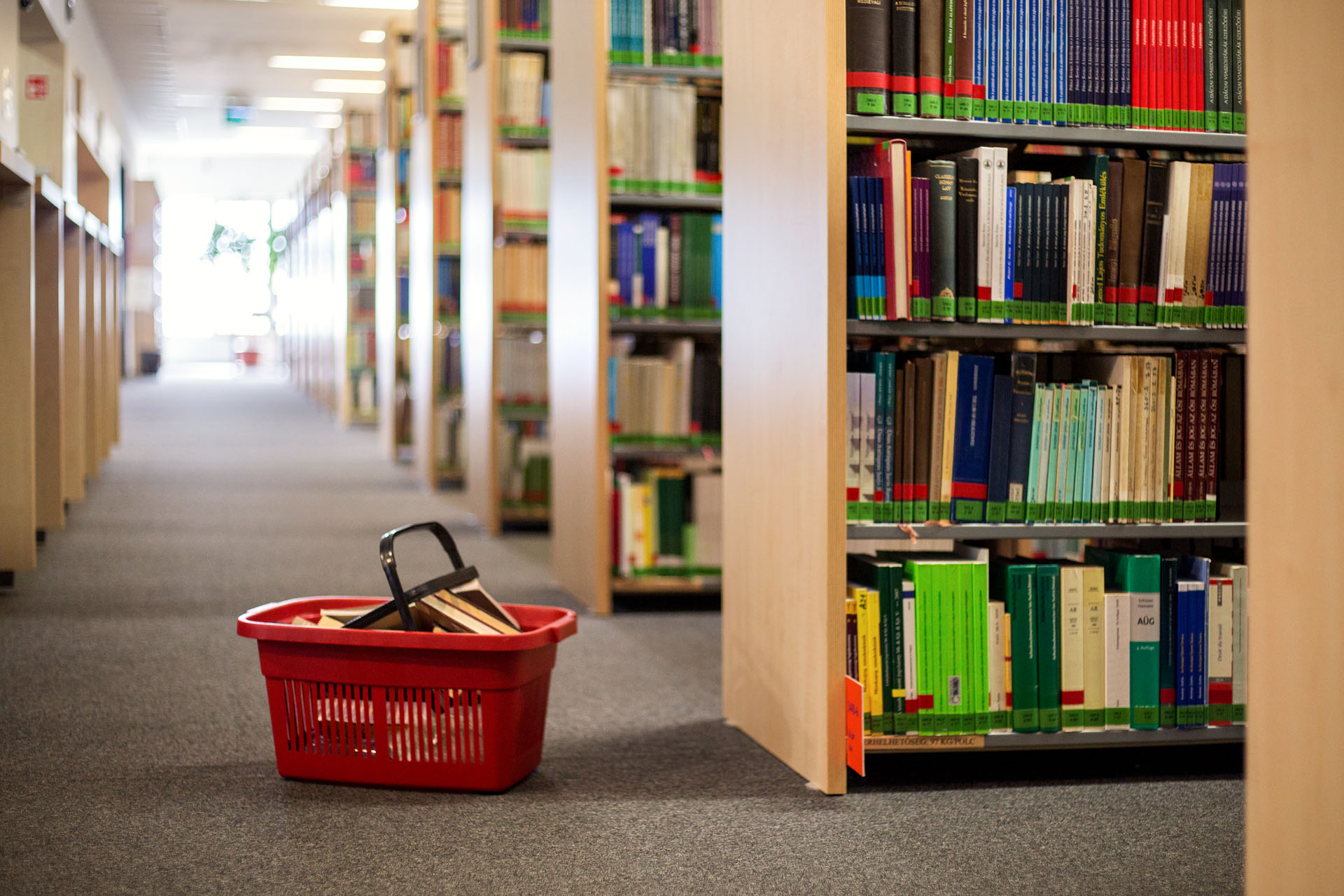 Survival tips for the exam period - MyLib